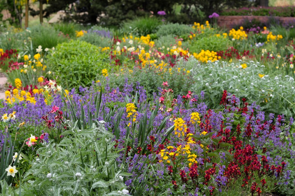 Photo Walk: Red Butte Garden – the usual bliss