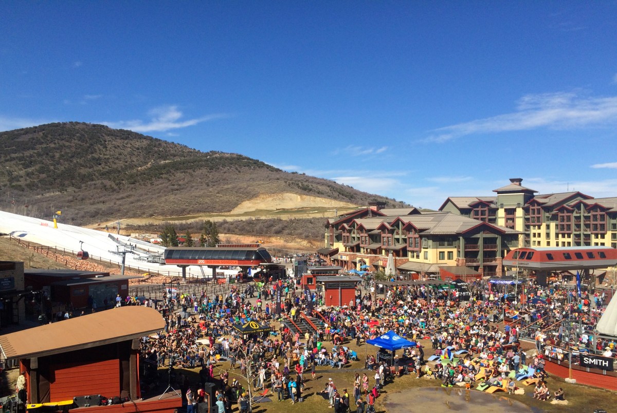 Spring shenanigans. – the usual bliss