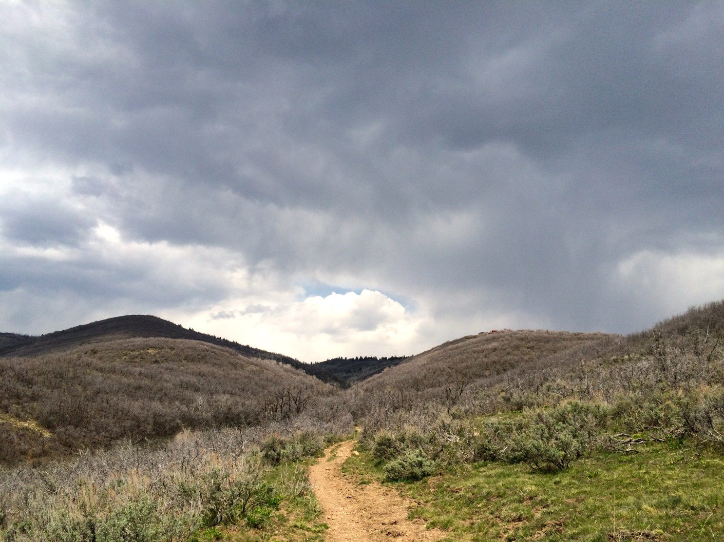 Lewis Park Nature Preserve – the usual bliss