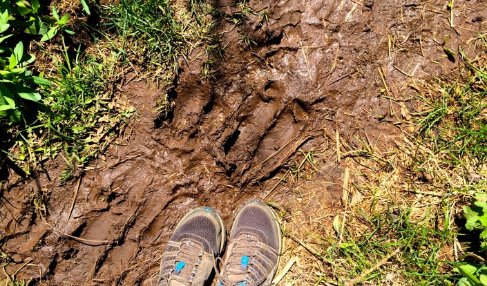 The (wet) trails of springtime. – the usual bliss