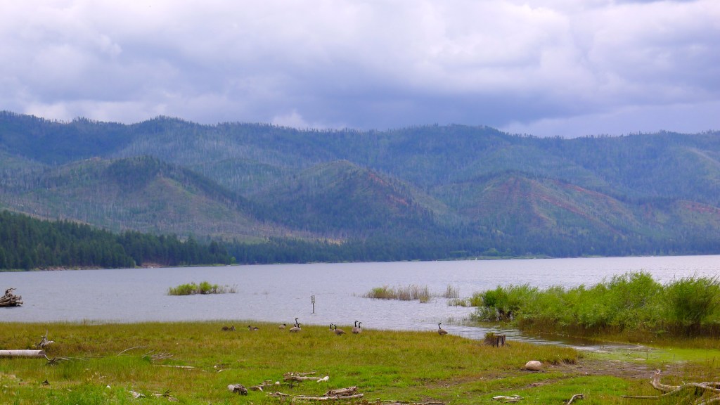 Surprise…Colorado style! – the usual bliss