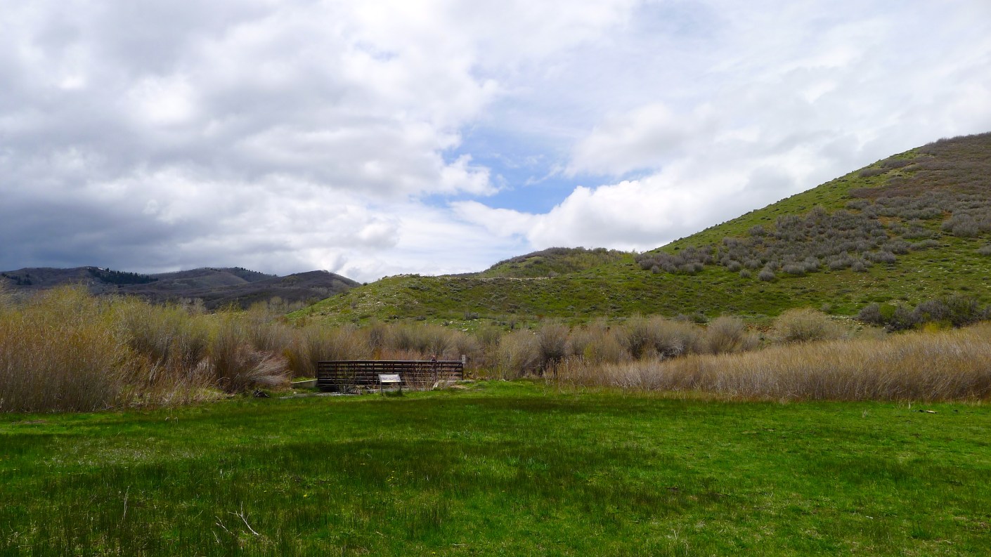 A Howe Family Weekend – the usual bliss