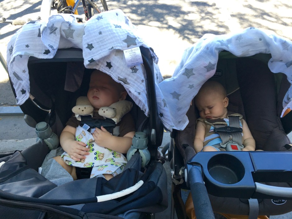 Colorado or Bust! – the usual bliss